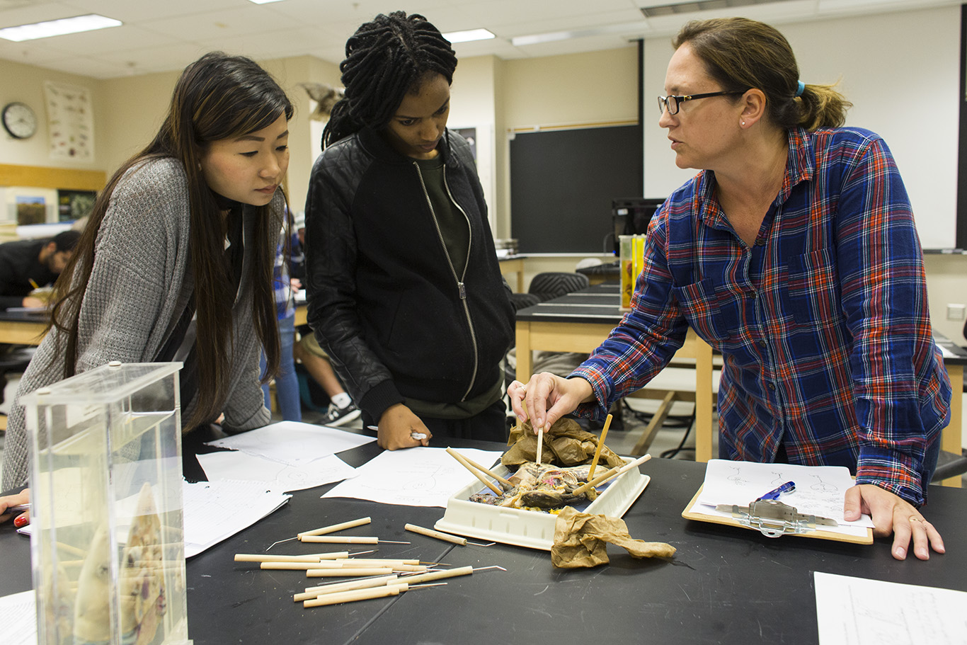 Biology Learning Opportunities at MSU Moorhead
