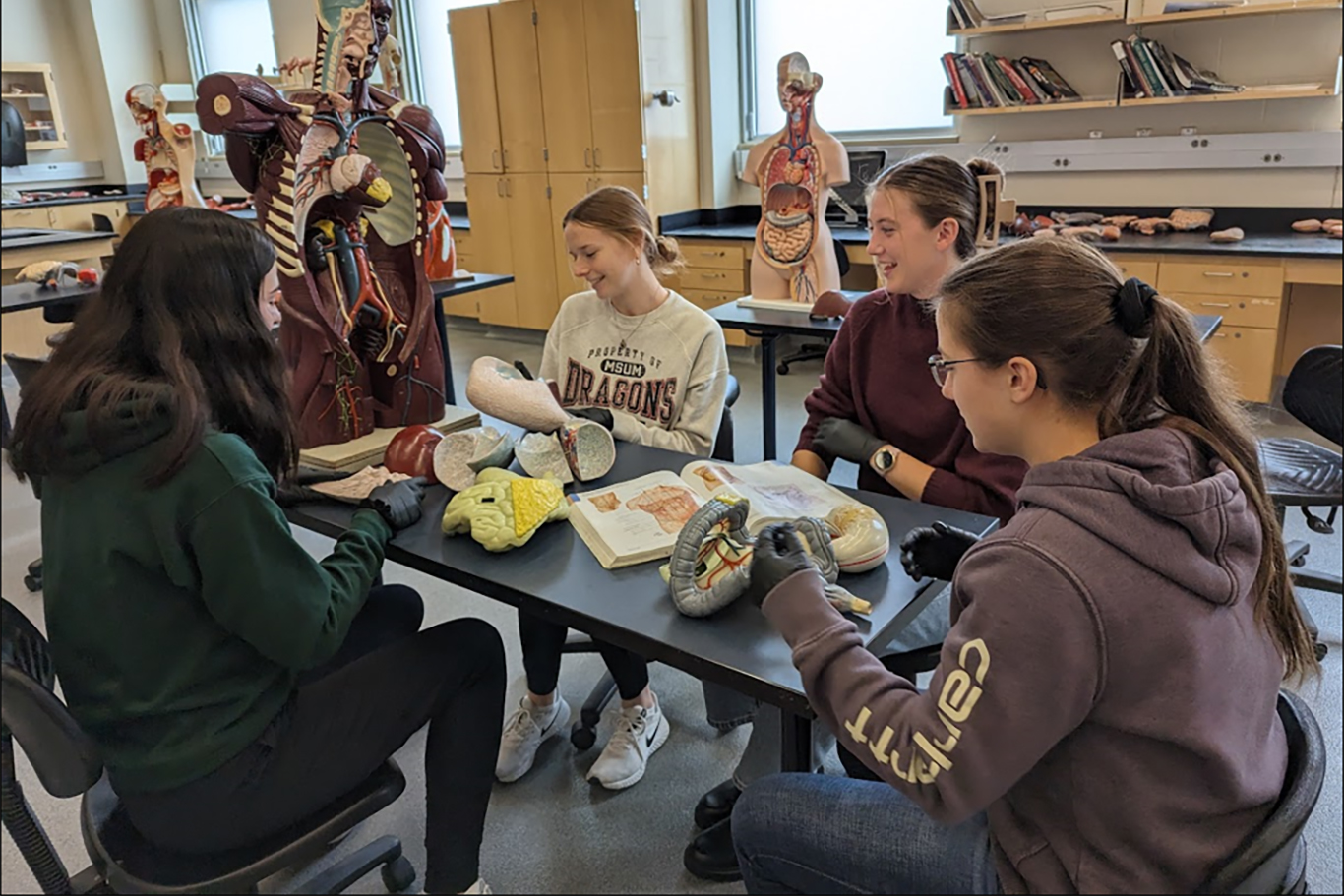 Biology Human Anatomy Lab at Minnesota State Moorhead