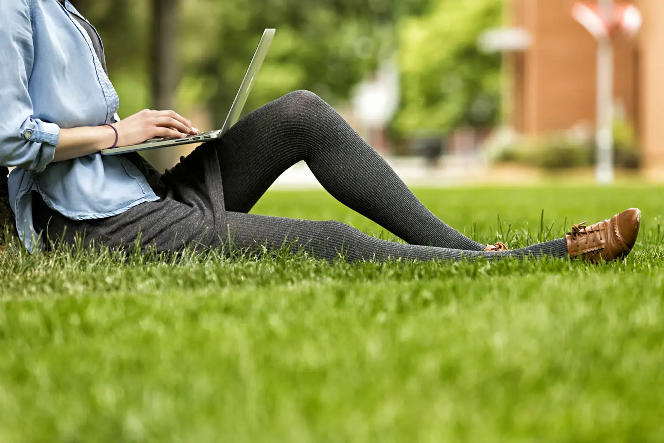 How Do I Apply as a Transfer Student to Minnesota State Moorhead